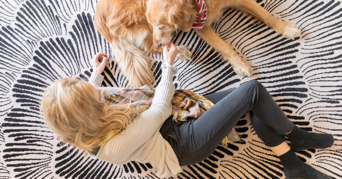 Very Important Pup (VIP) Package – Avenue of the Arts Costa Mesa, a ...